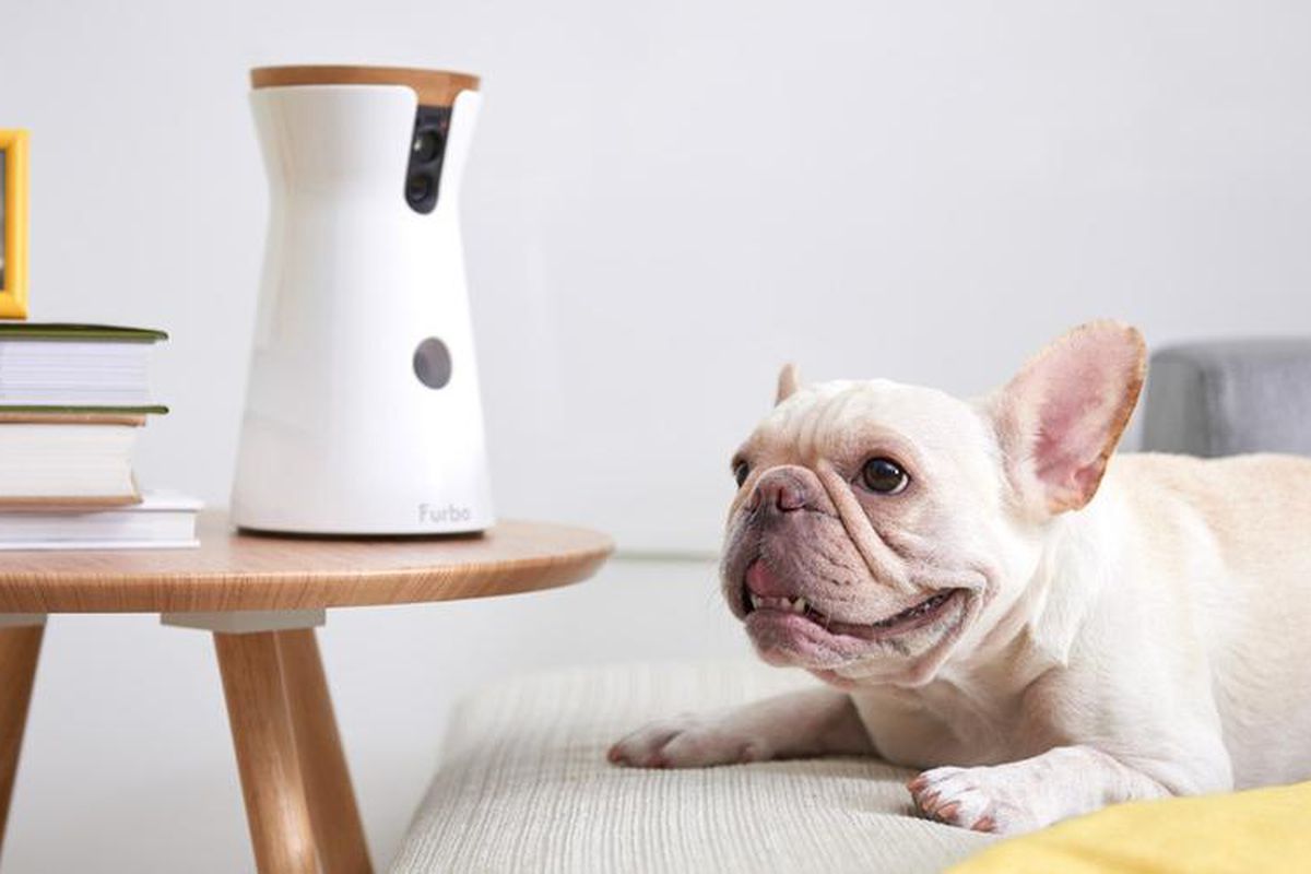 5 Smart Gadgets Your Pet Needs To Have - The .ISO zone