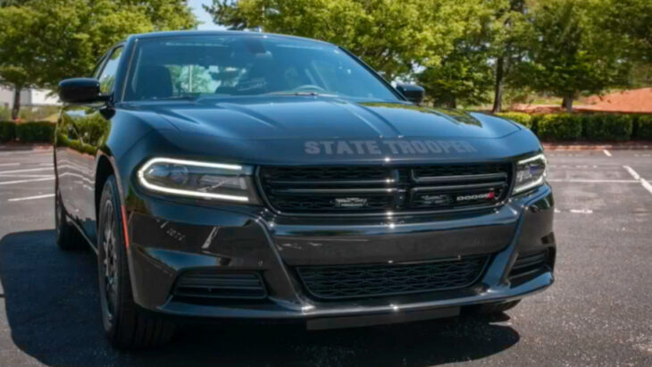 Everything You Need To Know About Ghost Graphics For Your Police Car ...