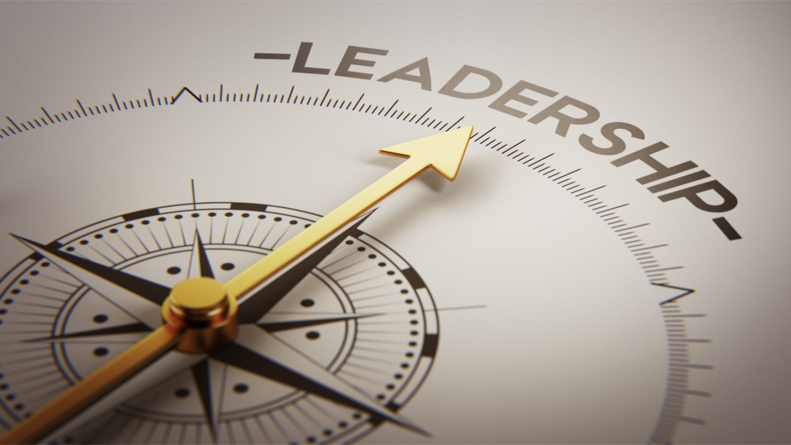 What is Leadership Development And Why Your Organization Needs It - The ...
