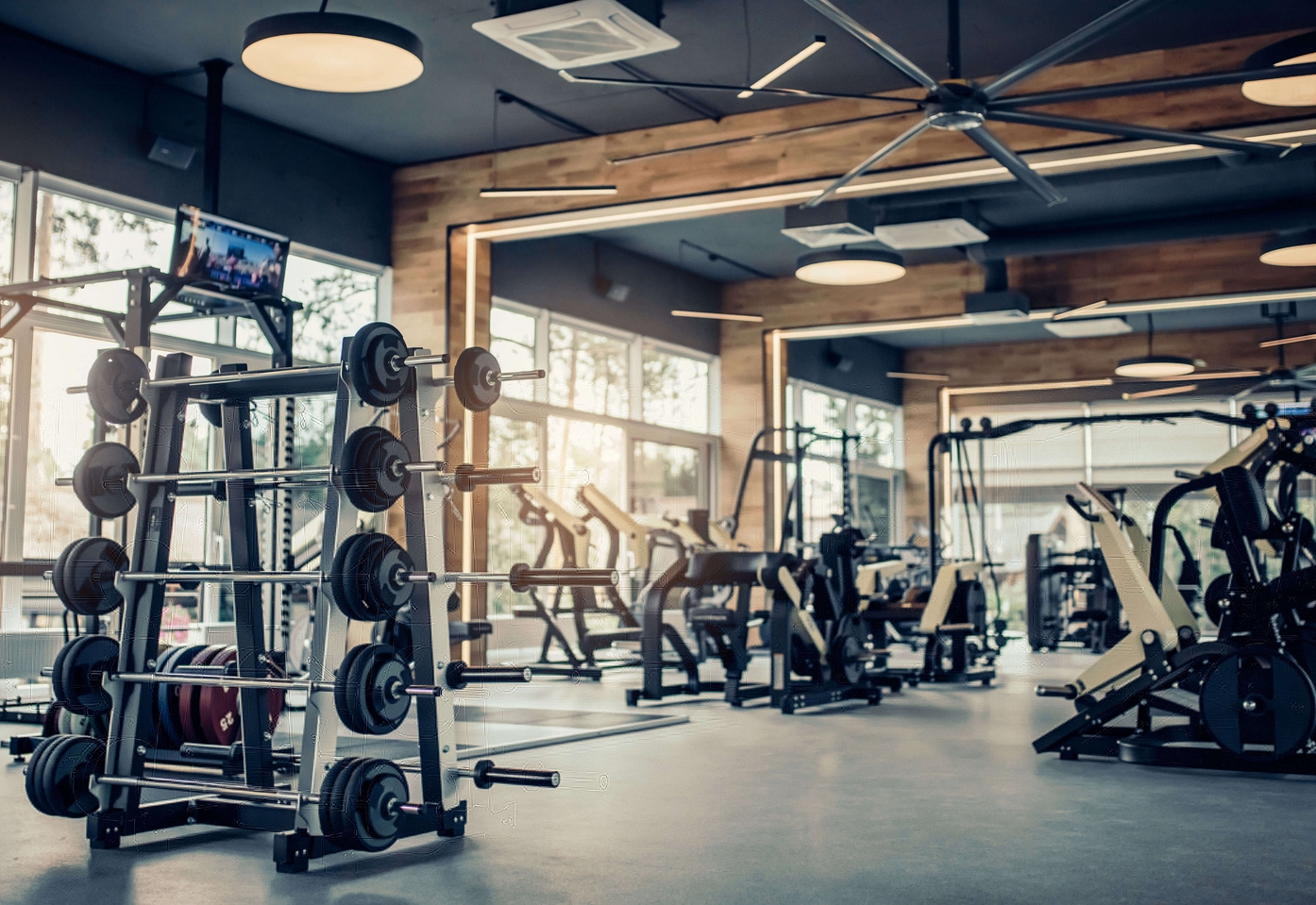 Unlocking the Fitness Industry: Requirements for Aspiring Personal ...